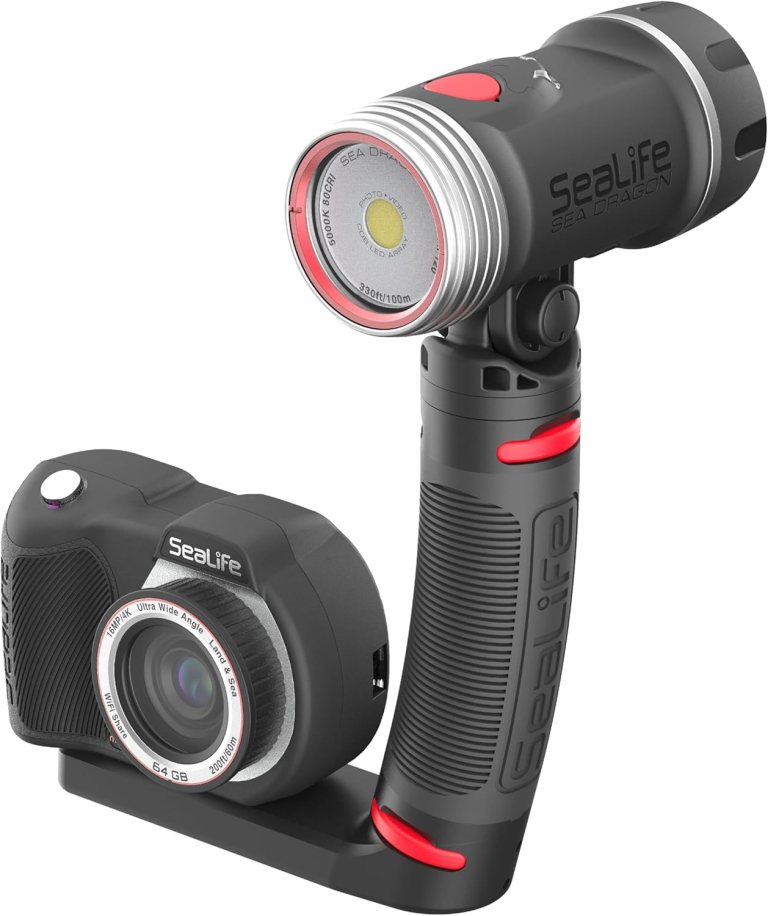 5 Best Underwater Cameras (Pro, Budget, Diving)
