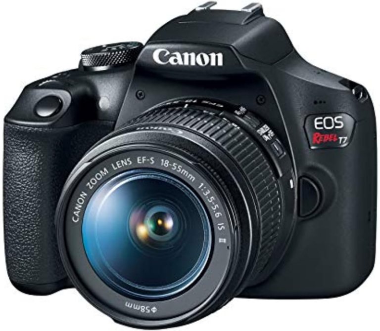 15 Best Cameras Under $500 (Every Niche)