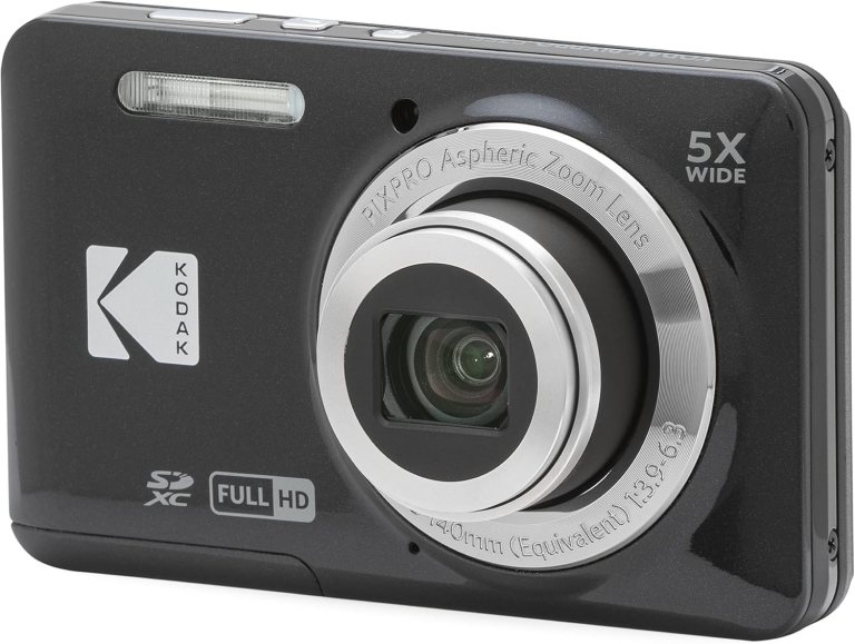 11 Best Cameras Under $300 (For Every Niche)