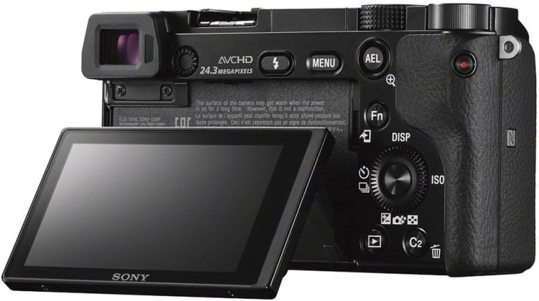 My Sony A6000 Review (Tested w/ Sample Photos)