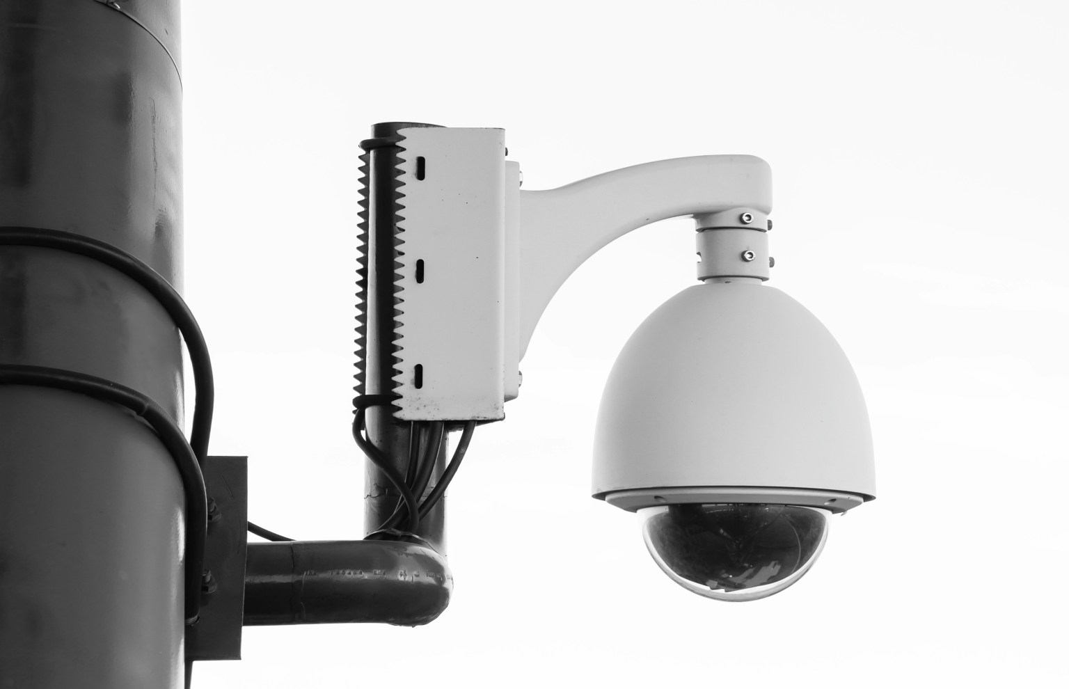 8 Best Reolink Cameras (Buyer's Guide)